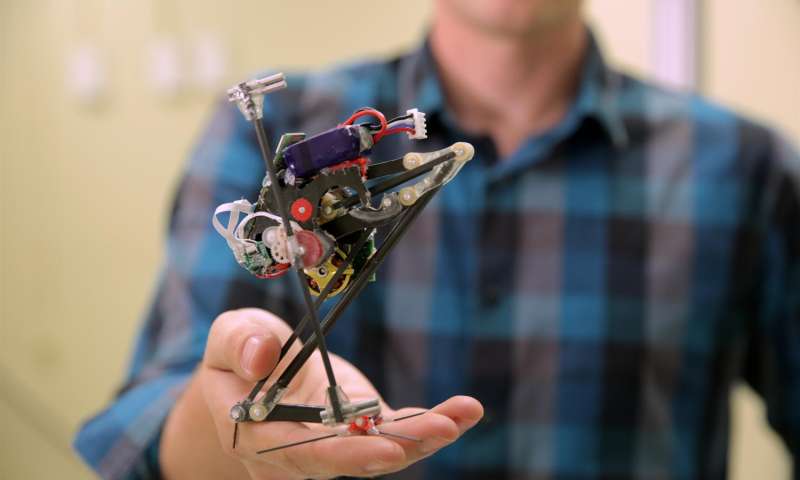 Most vertically agile robot ever developed - Daily Excelsior