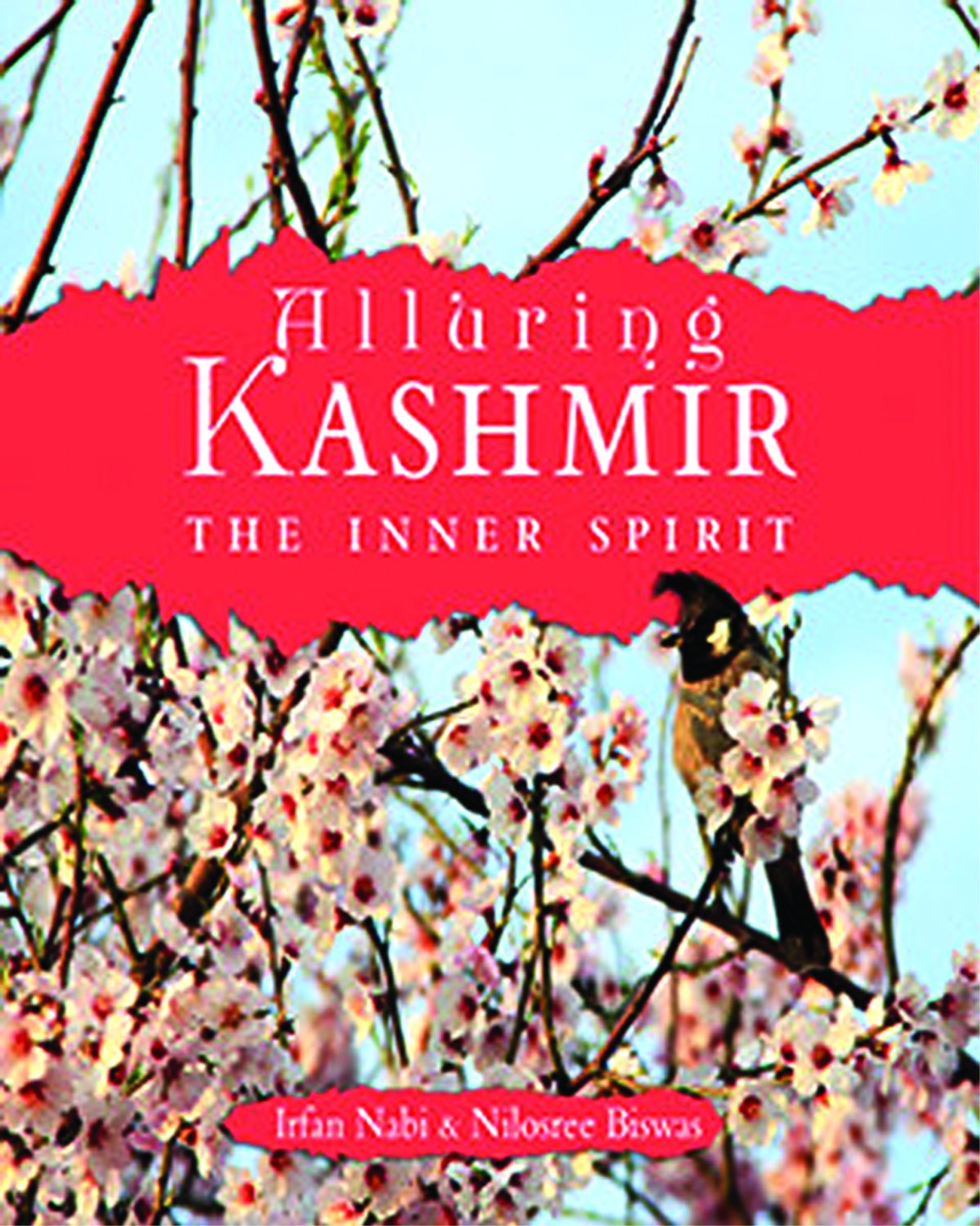 Visiting Kashmir through images - Daily Excelsior