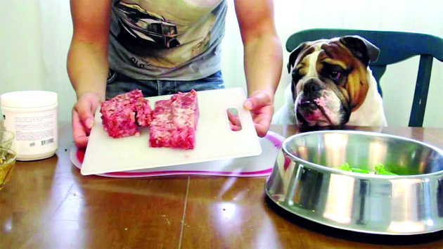 Diet for Dogs - Daily Excelsior