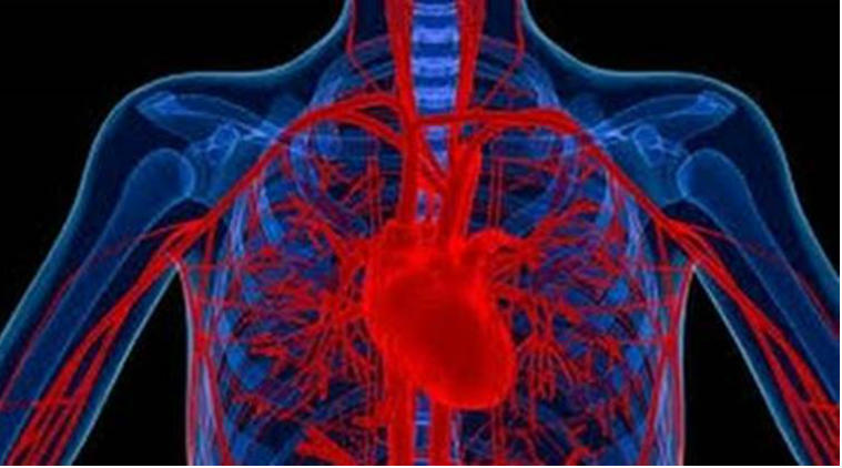 'Novel 3D bioprinting tech to create artificial blood vessels, organ ...