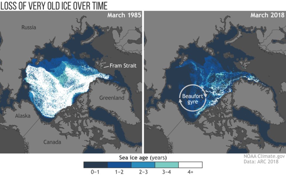Arctic had second-lowest sea ice coverage this year: Report - Daily ...