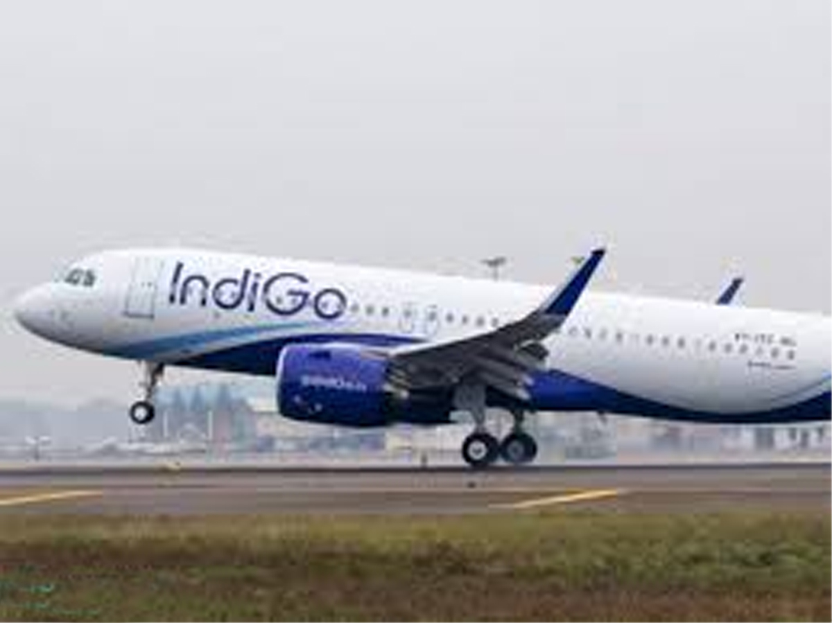 InterGlobe Aviation shares tank nearly 8 pc - Daily Excelsior