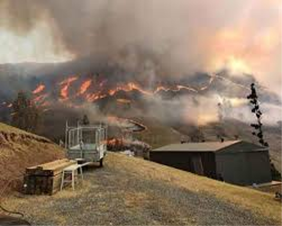 Australian bushfires partly due to late monsoon ending in India: expert ...