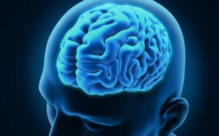 Brain related genetic disorder may be reversed using gene editing ...