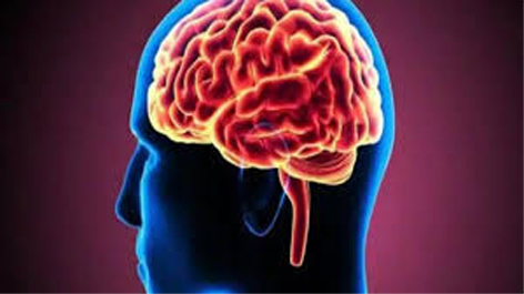 Scientists 3D print complex brain tumour, test drug effectiveness ...