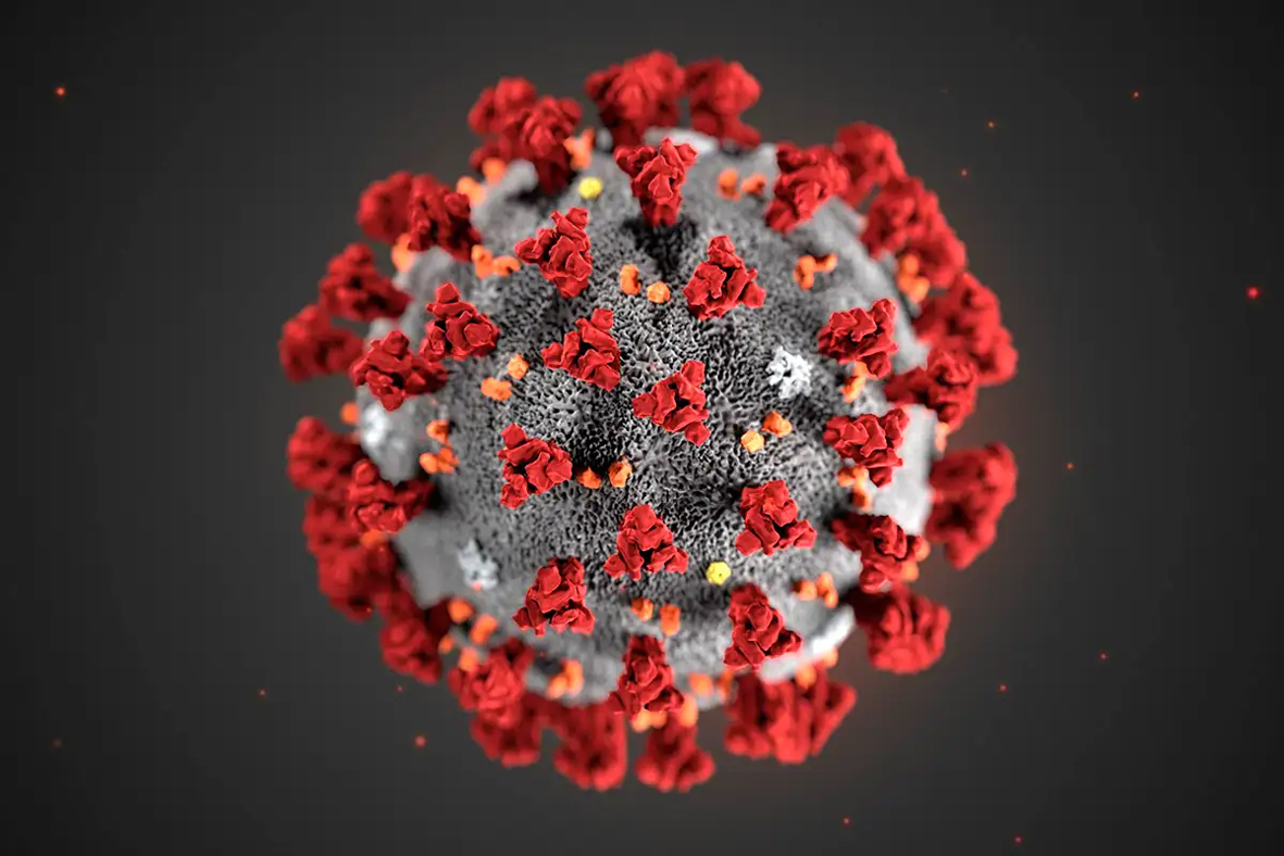 COVID-19 pandemic may be over in India around mid-Sept, claims ...