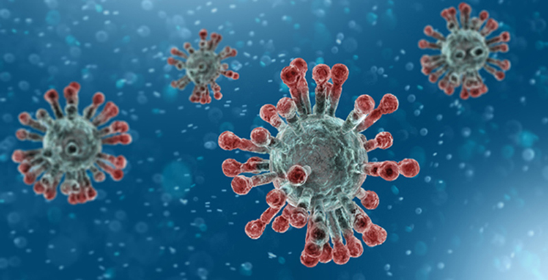Coronavirus cases in India climb to 4,40,215, nearly 11,000 recoveries ...