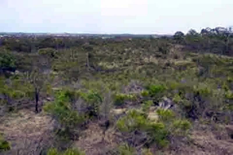 DB seeks action plan as Forest Deptt reports encroachments on over 3.5 ...