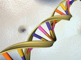 World's oldest DNA sheds light on how mammoths evolved: Study - Daily ...