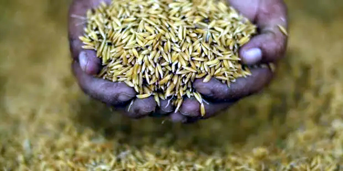 J&K to put in place detailed mechanism for effective implementation of ...