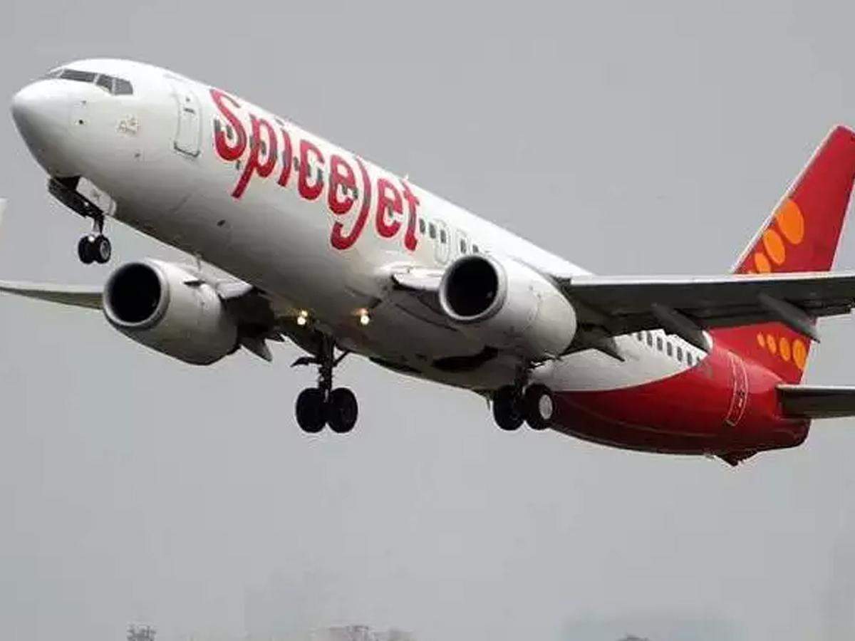 Spicejet among 60 cos committed to take global sustainable aviation ...