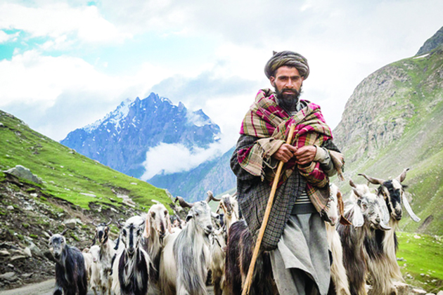 Forest Rights implementation in JK: Gaps and a way forward - Daily ...