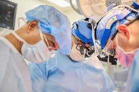 Pig heart transplants succeed in brain-dead recipients in US - Daily ...