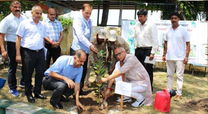 Mayor Jammu & PCCF Roshan Jaggi launching plant distribution campaign ...