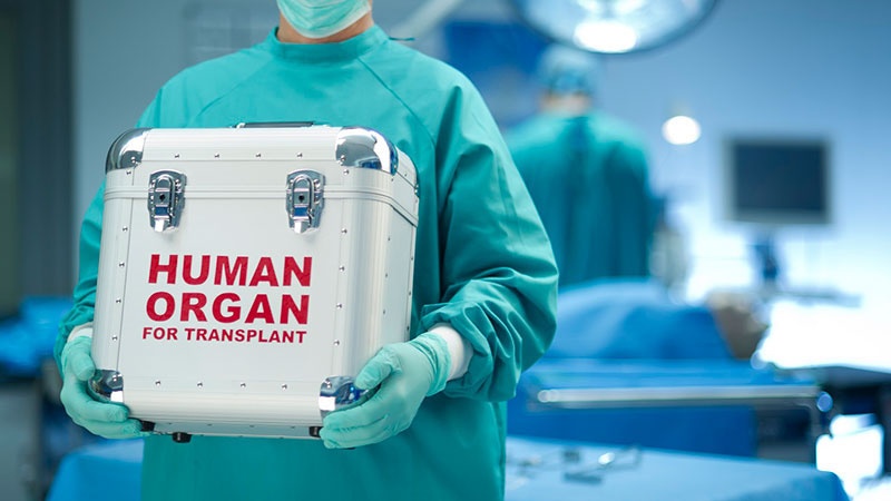 Organ transplantation: 217 registered hospitals fail to report data on ...